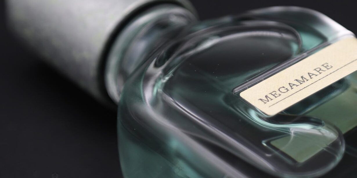 Megamare Orto Parisi : Découvrez l'art de capturer l'essence de la mer ...